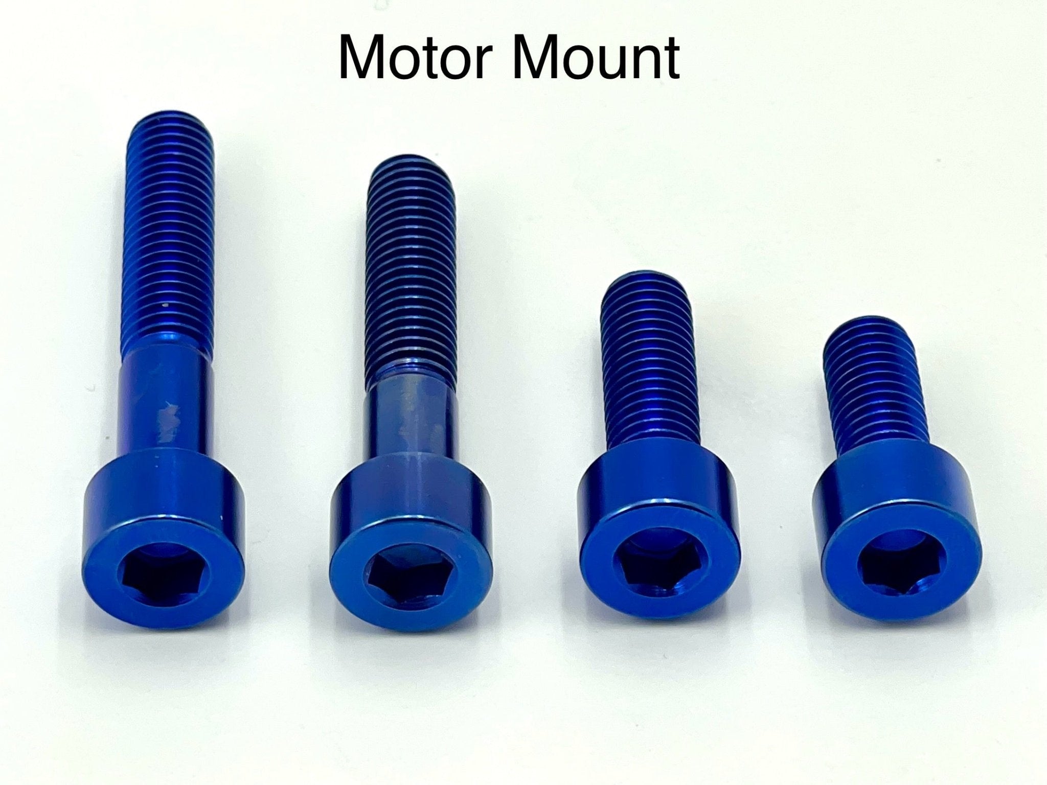 Titanium Motor Bolts - E-Ride Pro (all models) – ExWorks